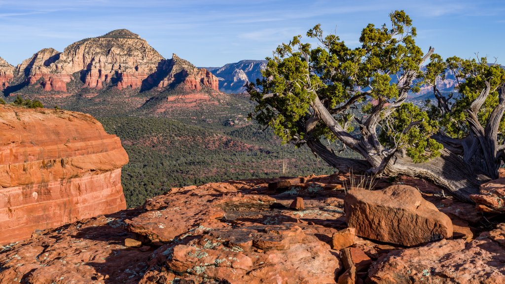 Best Hikes in Coconino National Forest (AZ) - Trailhead Traveler