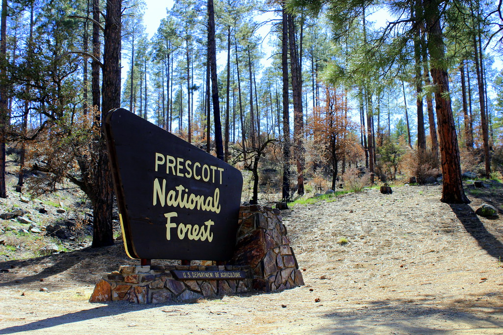 Best Hikes in Prescott National Forest (AZ) - Trailhead Traveler