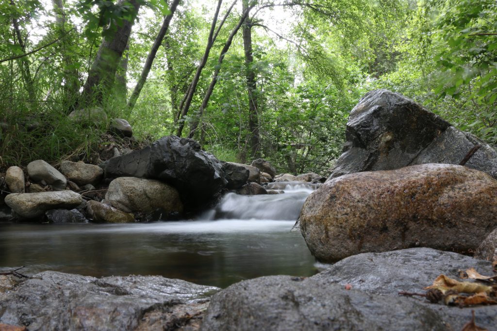 Best Hikes in Cleveland National Forest (CA) | Trailhead Traveler