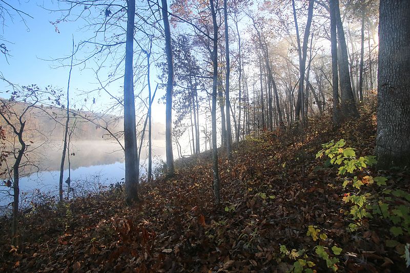 Best Hikes in Mark Twain National Forest (MO) - Trailhead Traveler