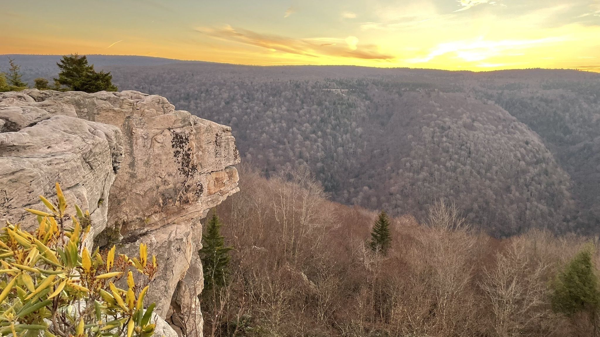 Best Hikes In Monongahela National Forest Wv Trailhead Traveler